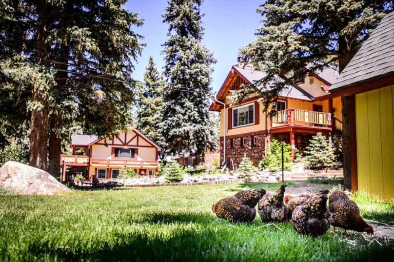 Best Places to Stay in Evergreen, Colorado – Top Hotels & Lodging